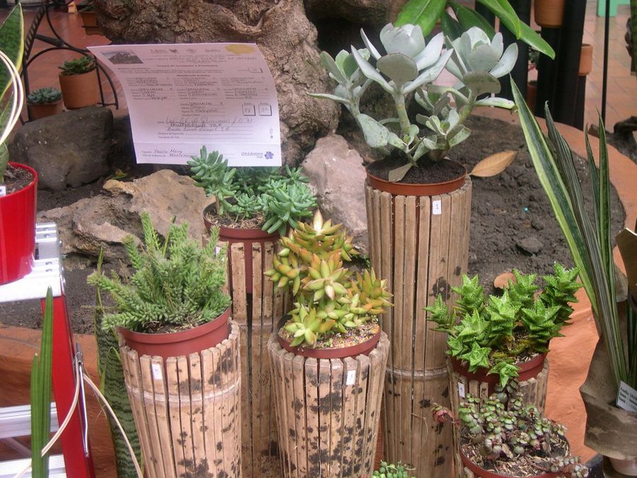 Alcatel One Touch 3075 Tribe: ultimo en móviles | Tecnología