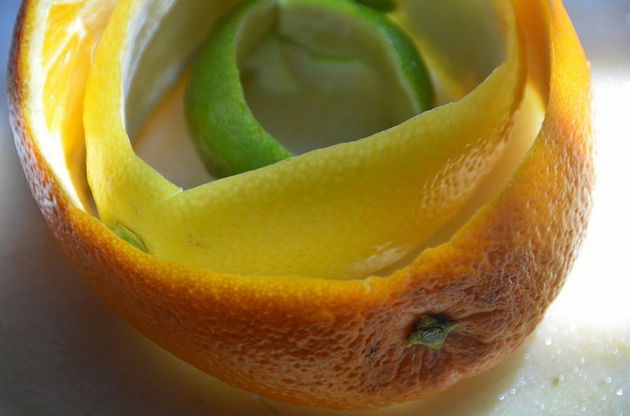 Los cítricos: tips y sugerencias | Plantas